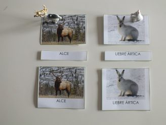 Proyecto de Geografía II- El ártico « Happy Mama